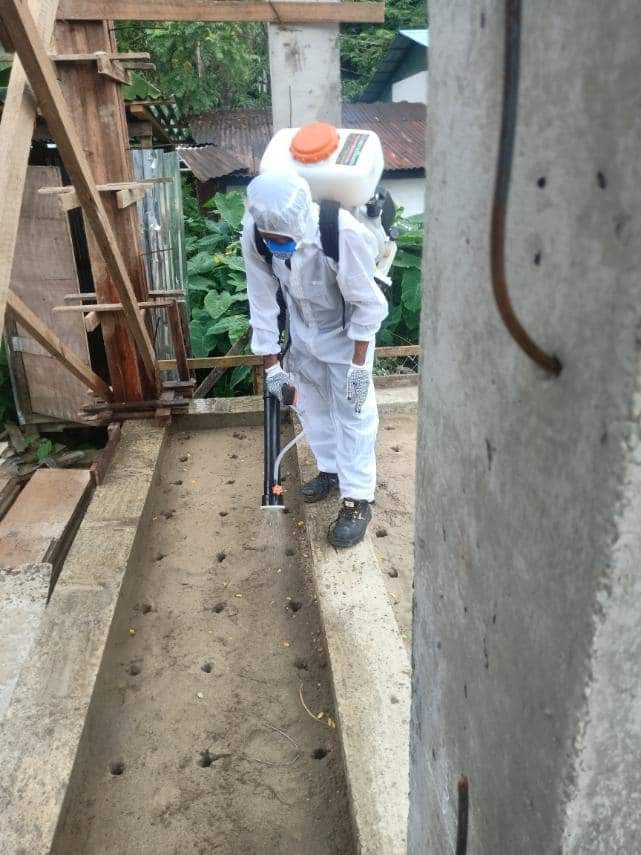Pest Control | Local Yangon Facilities Enterprise
